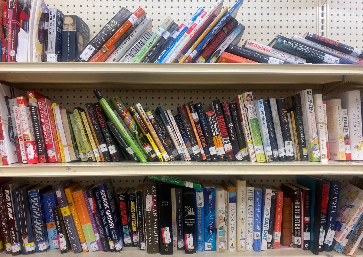 Book Buying on a Budget: A Booklover’s Guide to Book Thrifting – The ...
