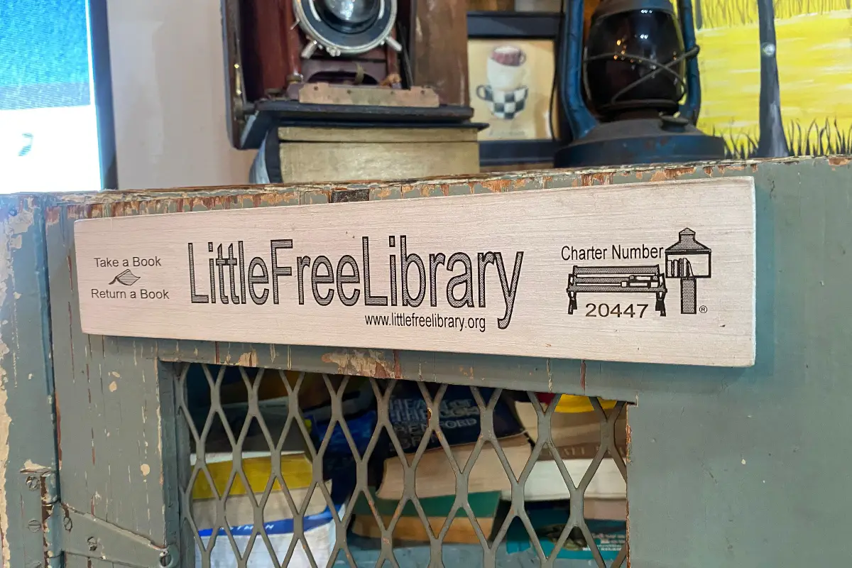 A Little Deep Dive into Little Free Libraries – The Bookshop Blog